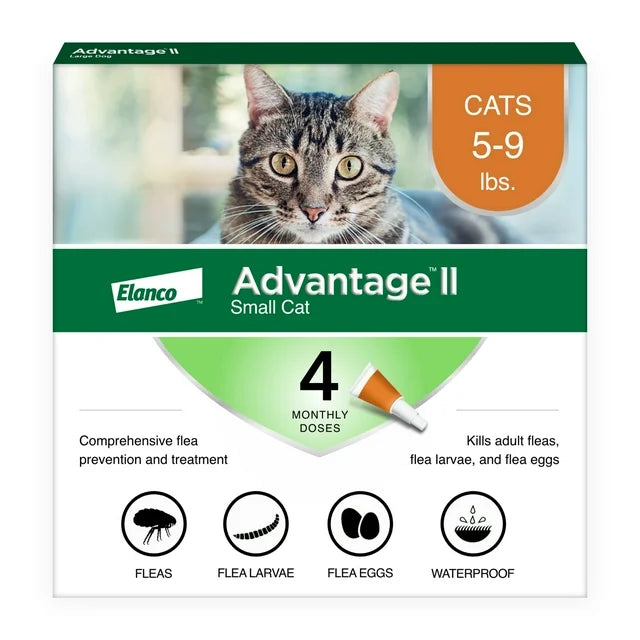Advantage Small Cat Topical Flea Treatment – Cowboy Headquarters