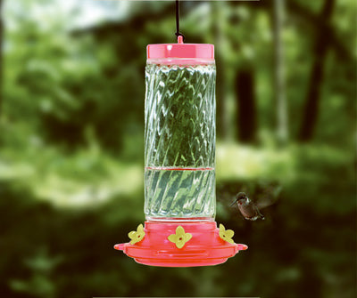 Audubon Nectar Bird Feeder – Cowboy Headquarters