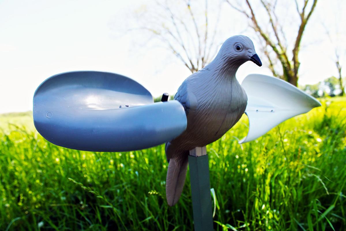 MOJO Wind Dove Decoy – Cowboy Headquarters