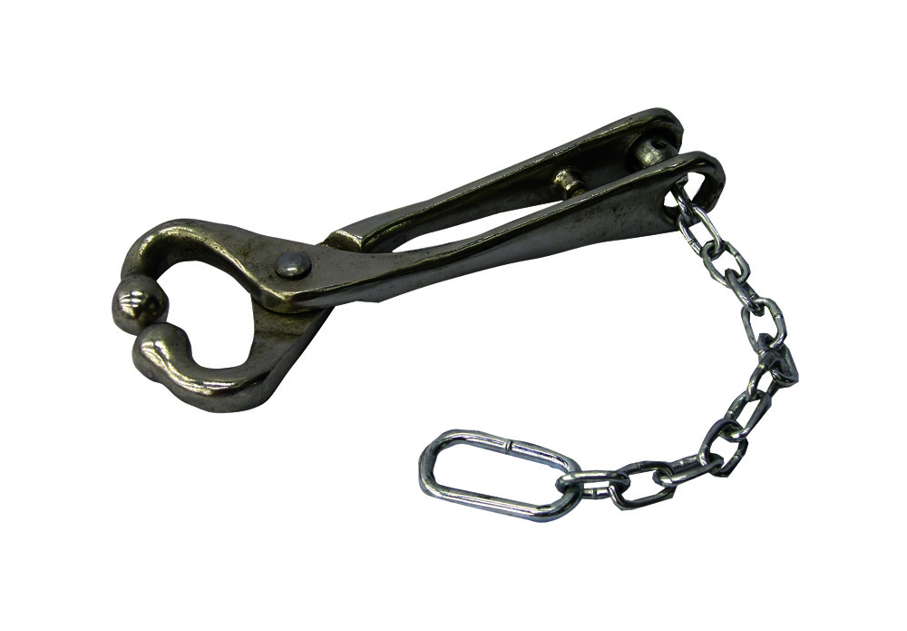 Ideal Bull Lead with Chain – Cowboy Headquarters